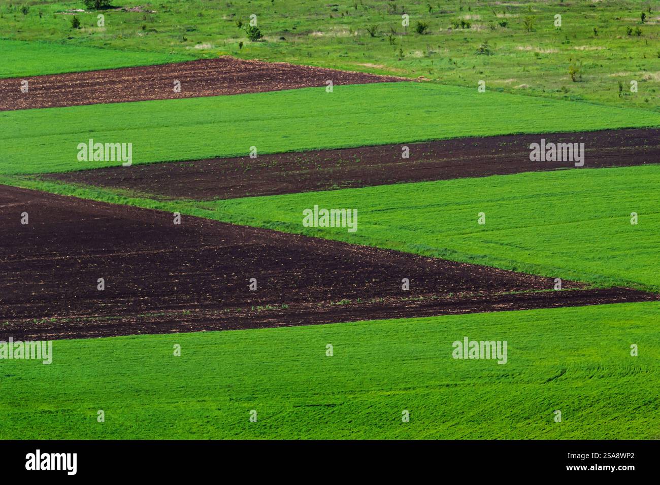 Lush green agricultural fields stretch across the landscape, with ...