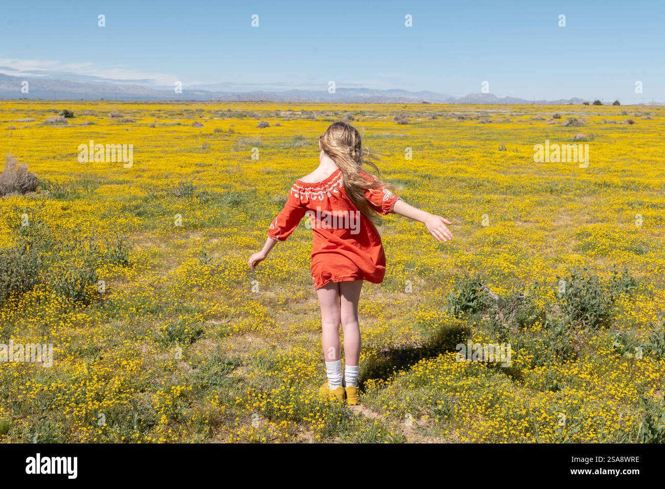 Girl walking in poppy flower field Stock Photo - Alamy