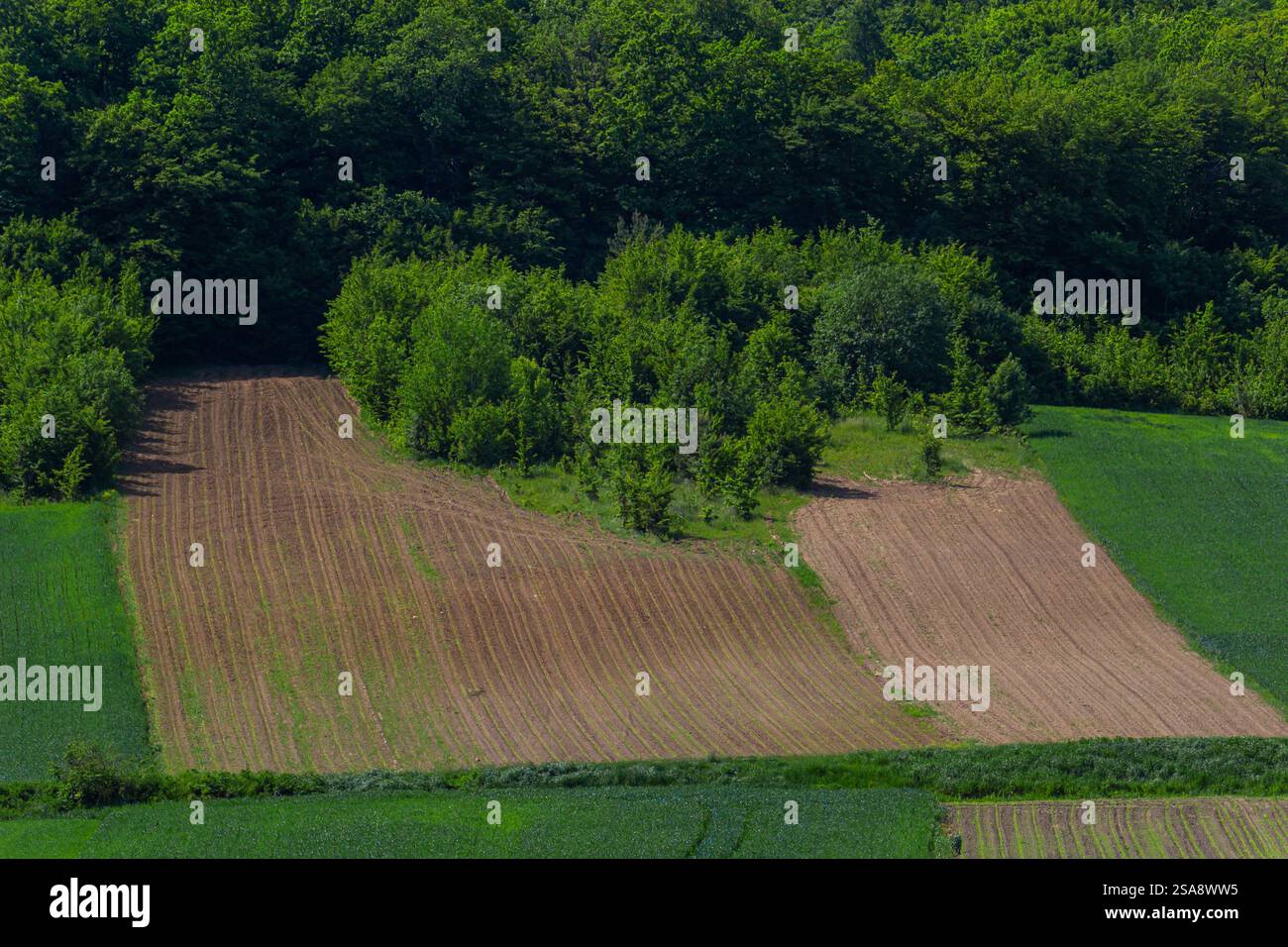 A rural landscape showcases lush green fields alongside freshly plowed ...