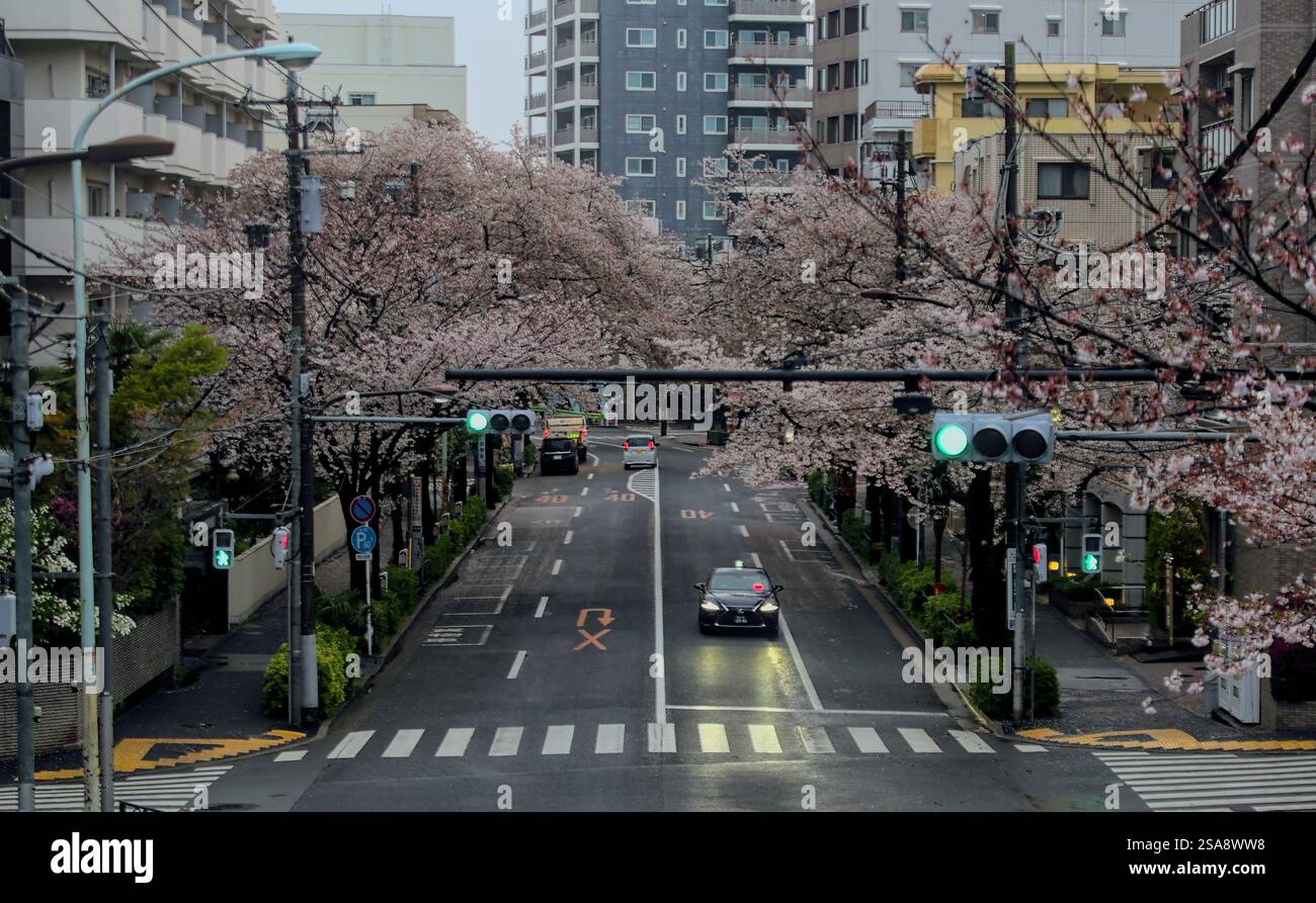 A single taxi approaches an intersection on a rainy spring morning in ...