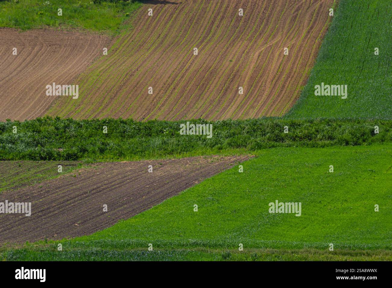 Rolling fields display a patchwork of vibrant green and rich brown hues ...