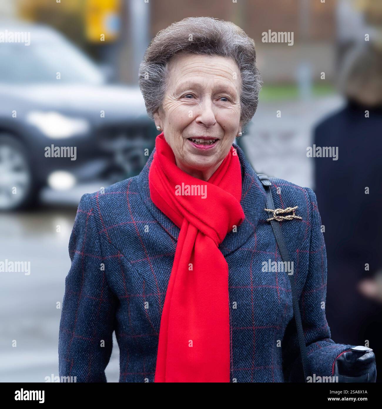 Ann Princess Royal, visiting an outdoor museum in West Sussex Stock ...