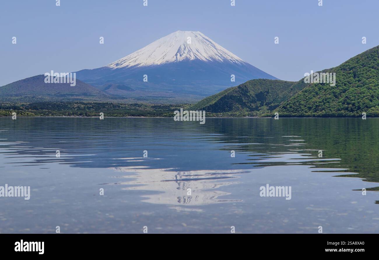 Daytime view of Mount Fuji in early summer, reflecting off of the ...