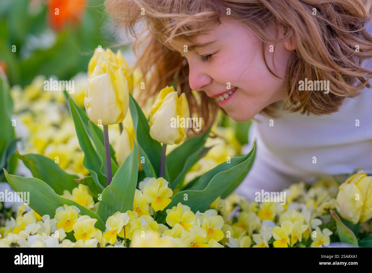 A child hold tulip on blossom Spring nature background. Spring flowers ...