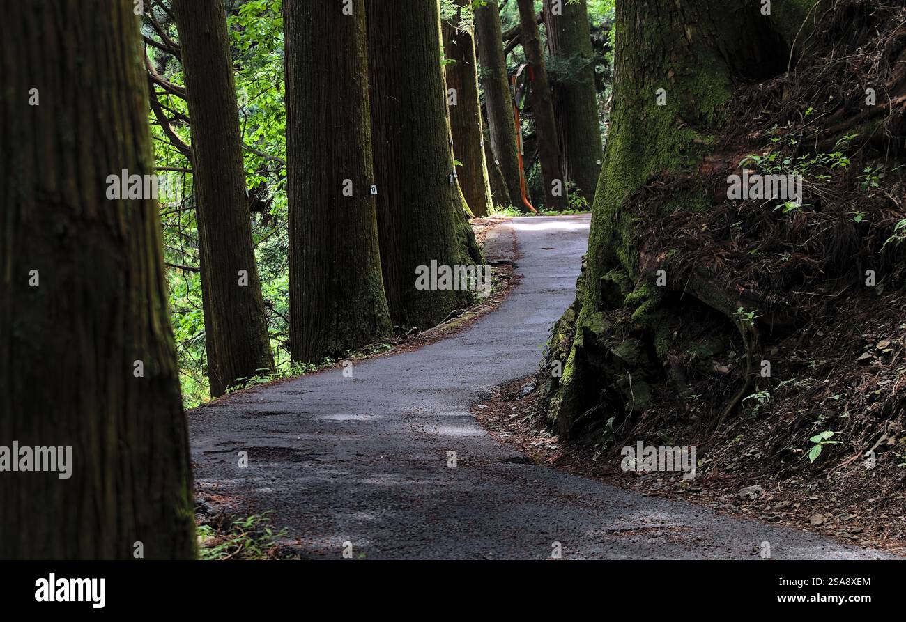 First person walk along path hi-res stock photography and images - Alamy