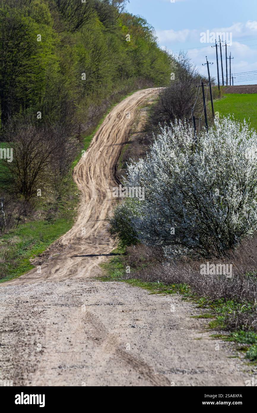 A winding dirt road leads through vibrant green hillsides, flanked by ...