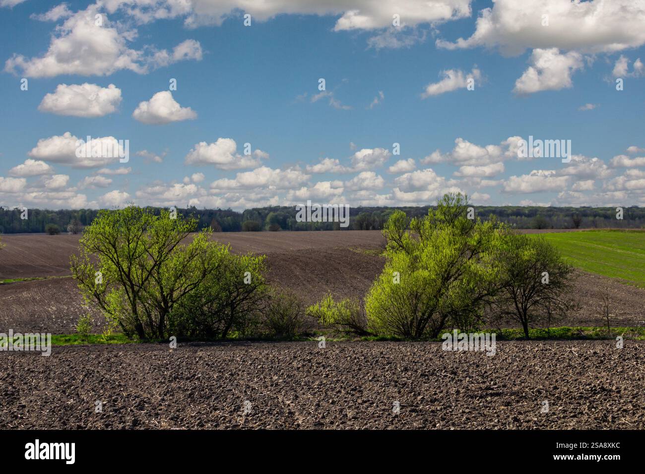 Lush green trees stand amidst freshly plowed fields in the countryside ...