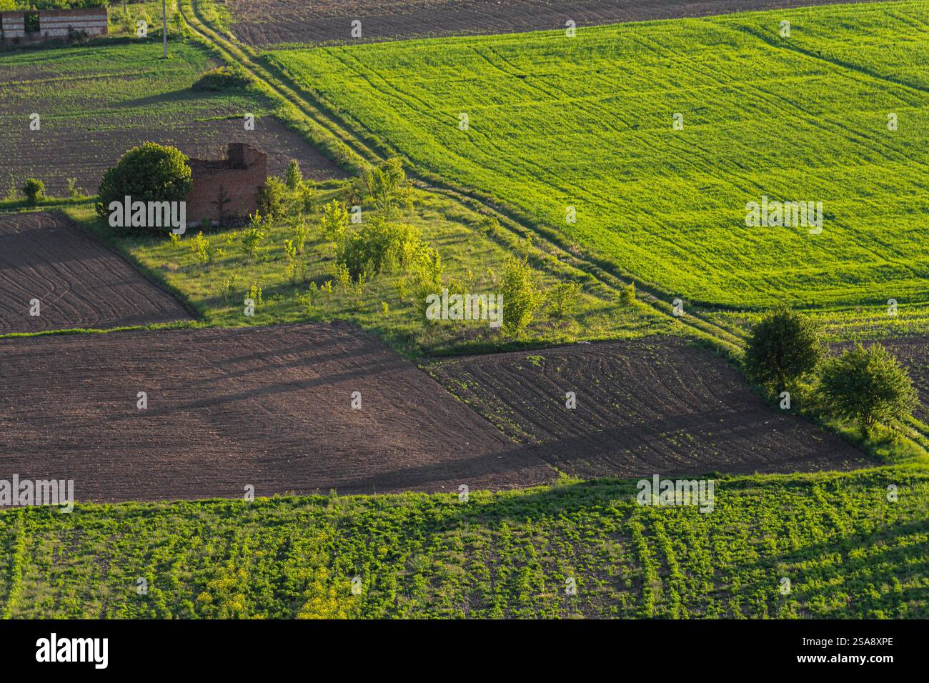 Small agricultural patches of land hi-res stock photography and images ...