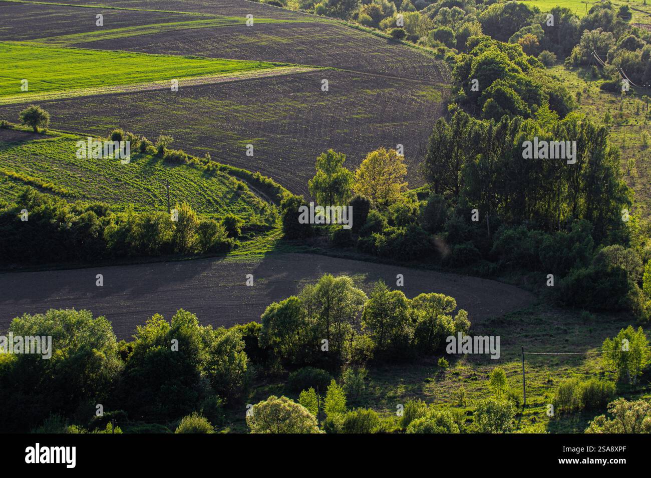 Vibrant green fields stretch across the countryside, interspersed with ...