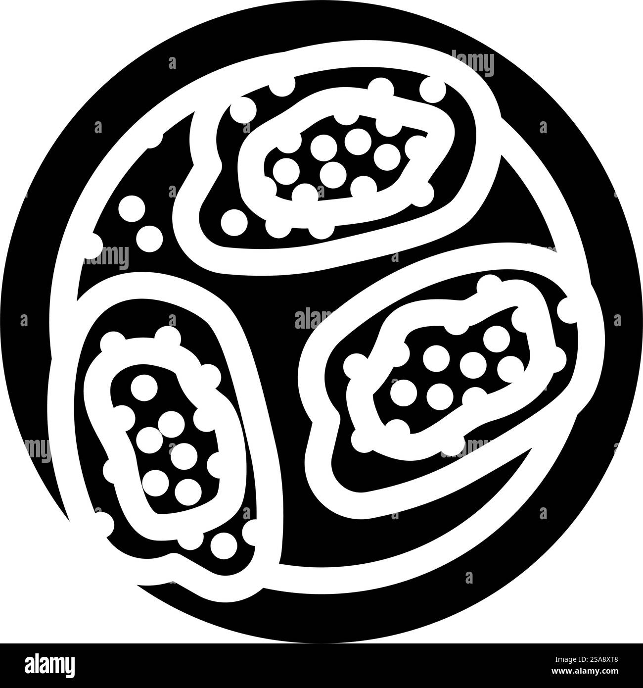 caviar delicacy sea cuisine glyph icon vector. caviar delicacy sea ...