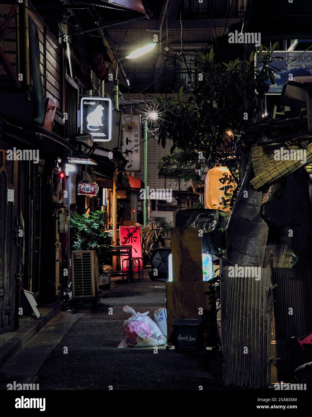 Night view of a small, cluttered alley near Nishiogikubo Station in ...