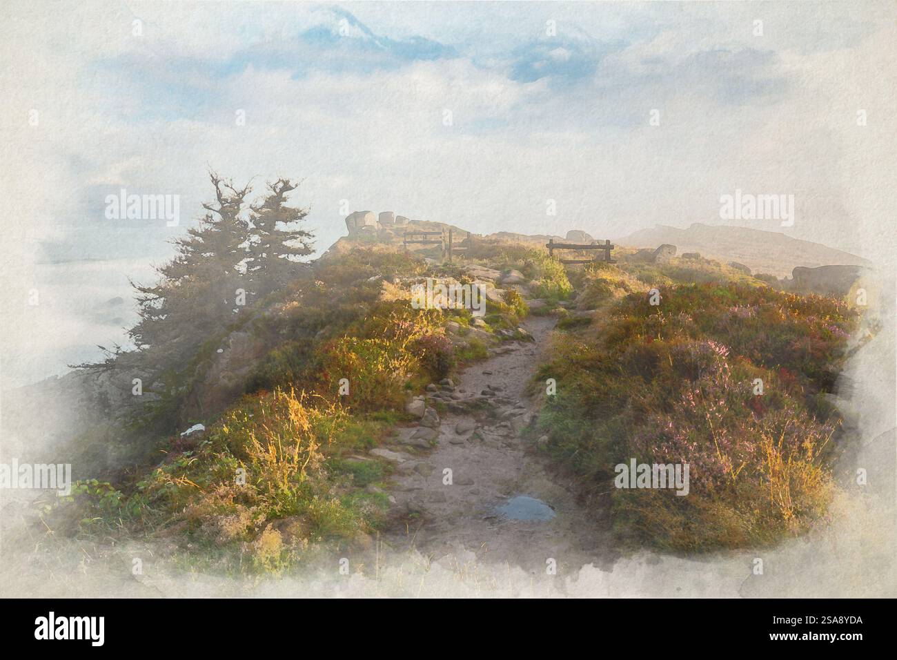 A digital watercolour painting of sunrise, purple heather and mist at ...