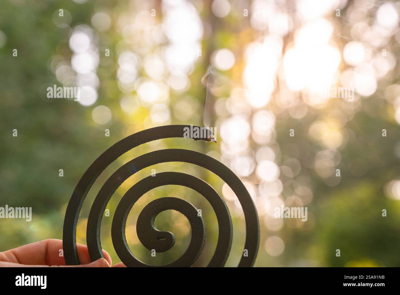 Green mosquito coil Insect repellent outdoors during summer. Trying to ...