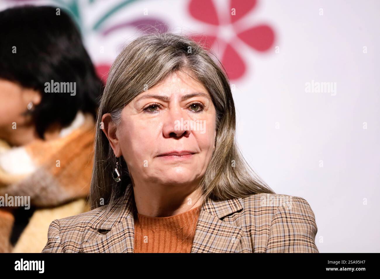 Claudia Sheinbaum Daily Briefing Conference General Director of ...