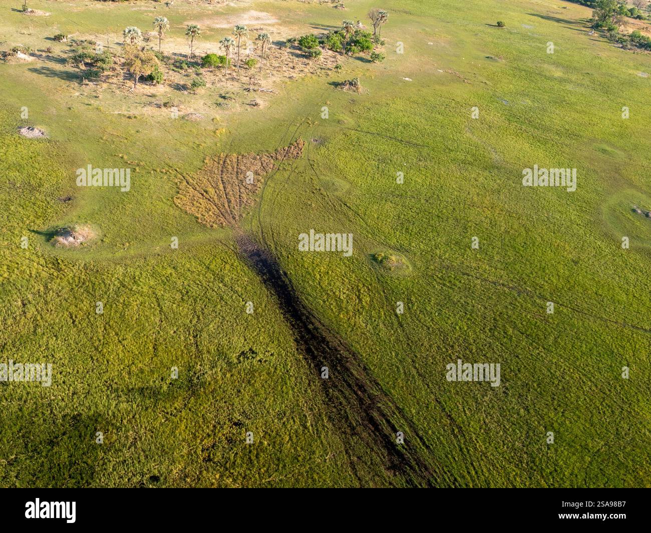 Okavango landscape in Botswana. Flight from Maun to the Okavango Delta ...