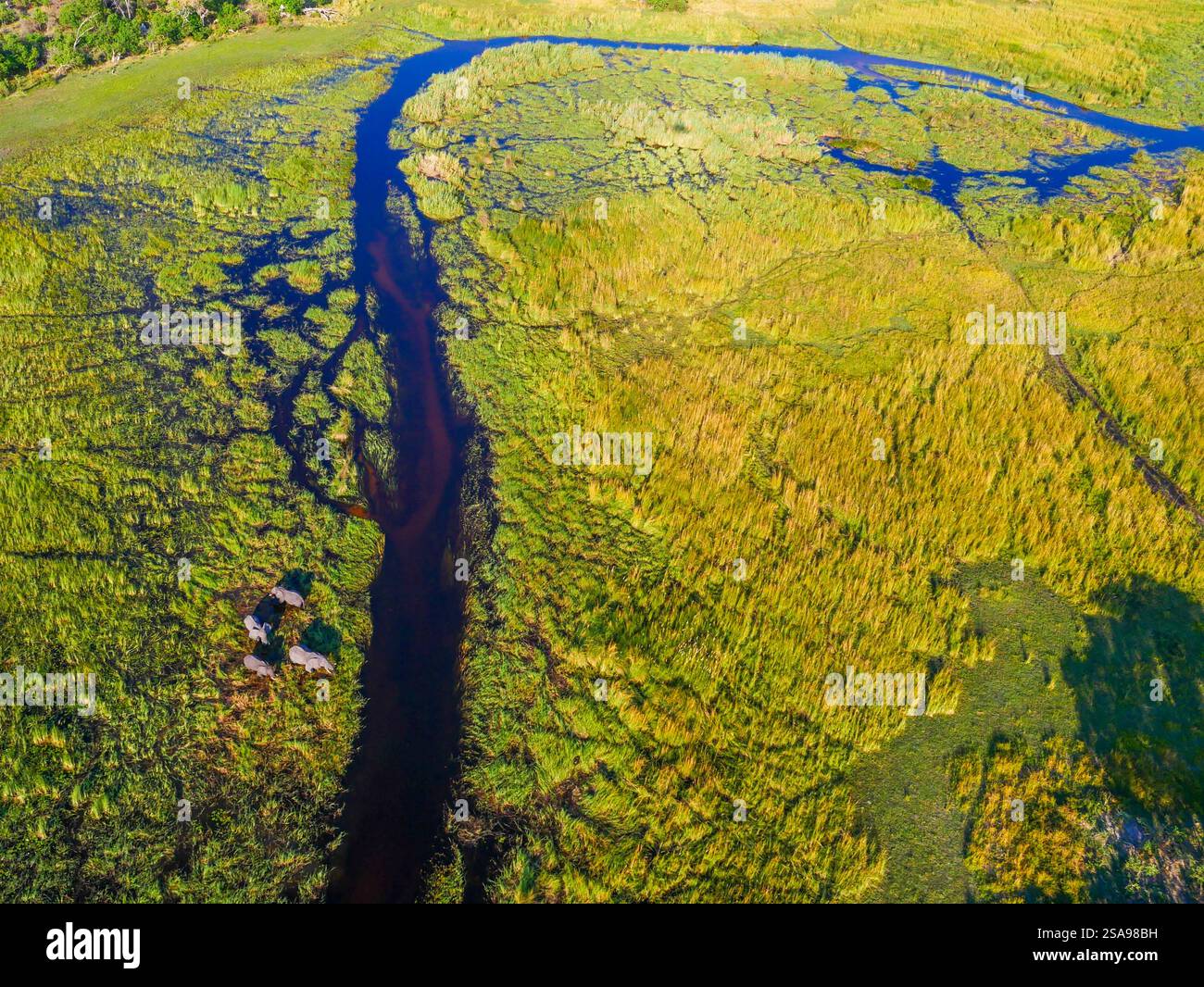 Okavango landscape in Botswana. Flight from Maun to the Okavango Delta ...