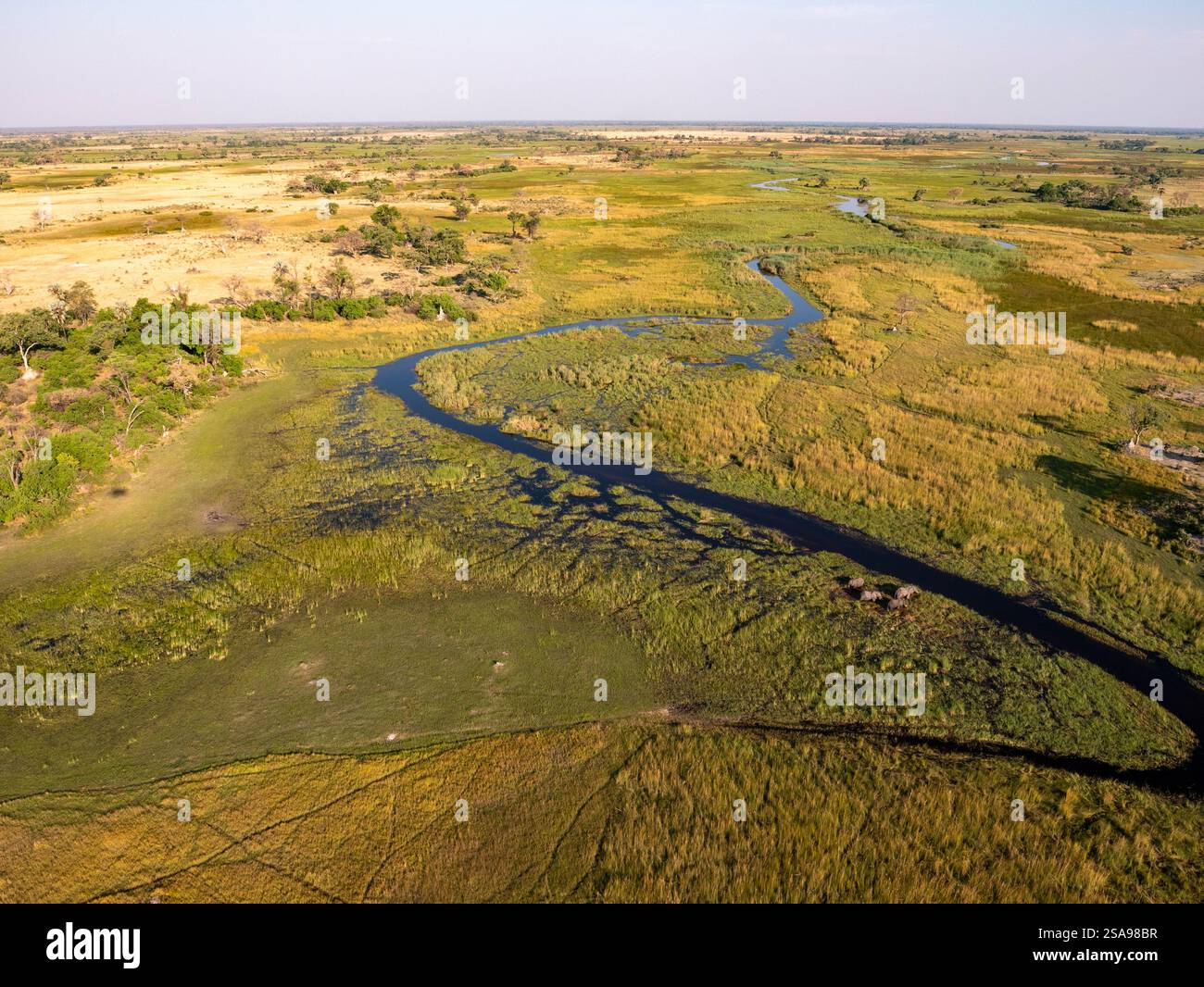 Okavango landscape in Botswana. Flight from Maun to the Okavango Delta ...