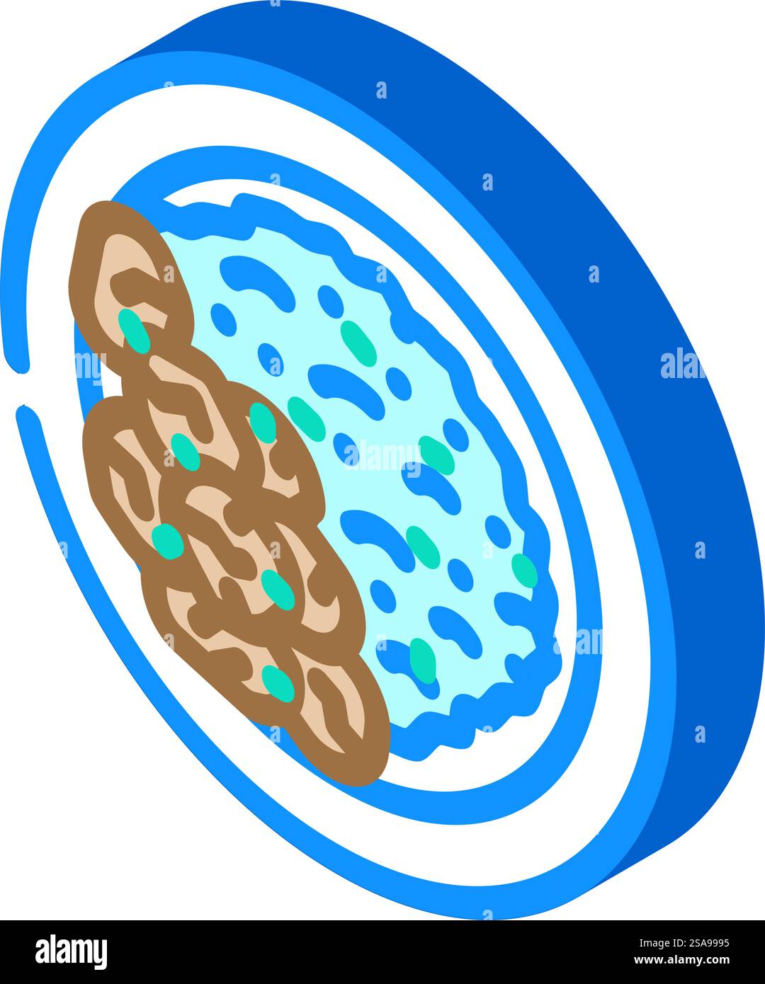 curry dish indian cuisine isometric icon vector. curry dish indian ...