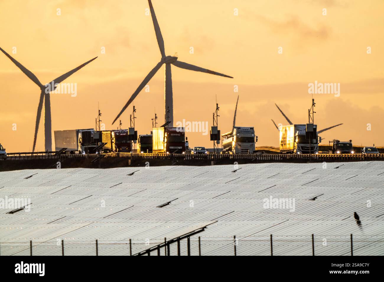 20 MWp ground-mounted photovoltaic system, from RWE, with over 36,600 ...