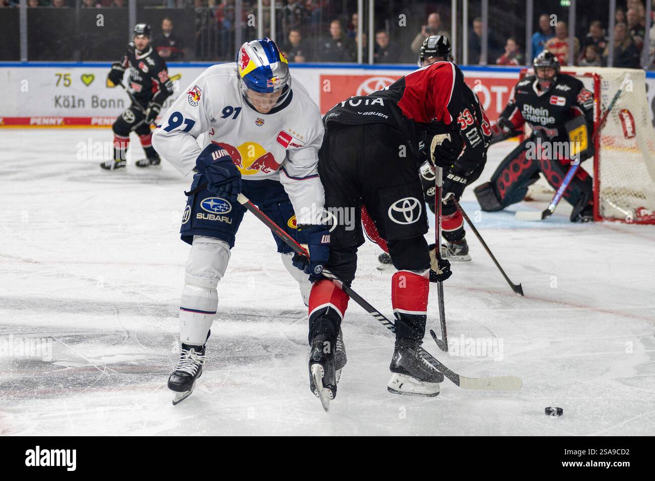 28.01.2025, Eishockey: Penny DEL, Saison 2024/2025, 41. Spieltag ...