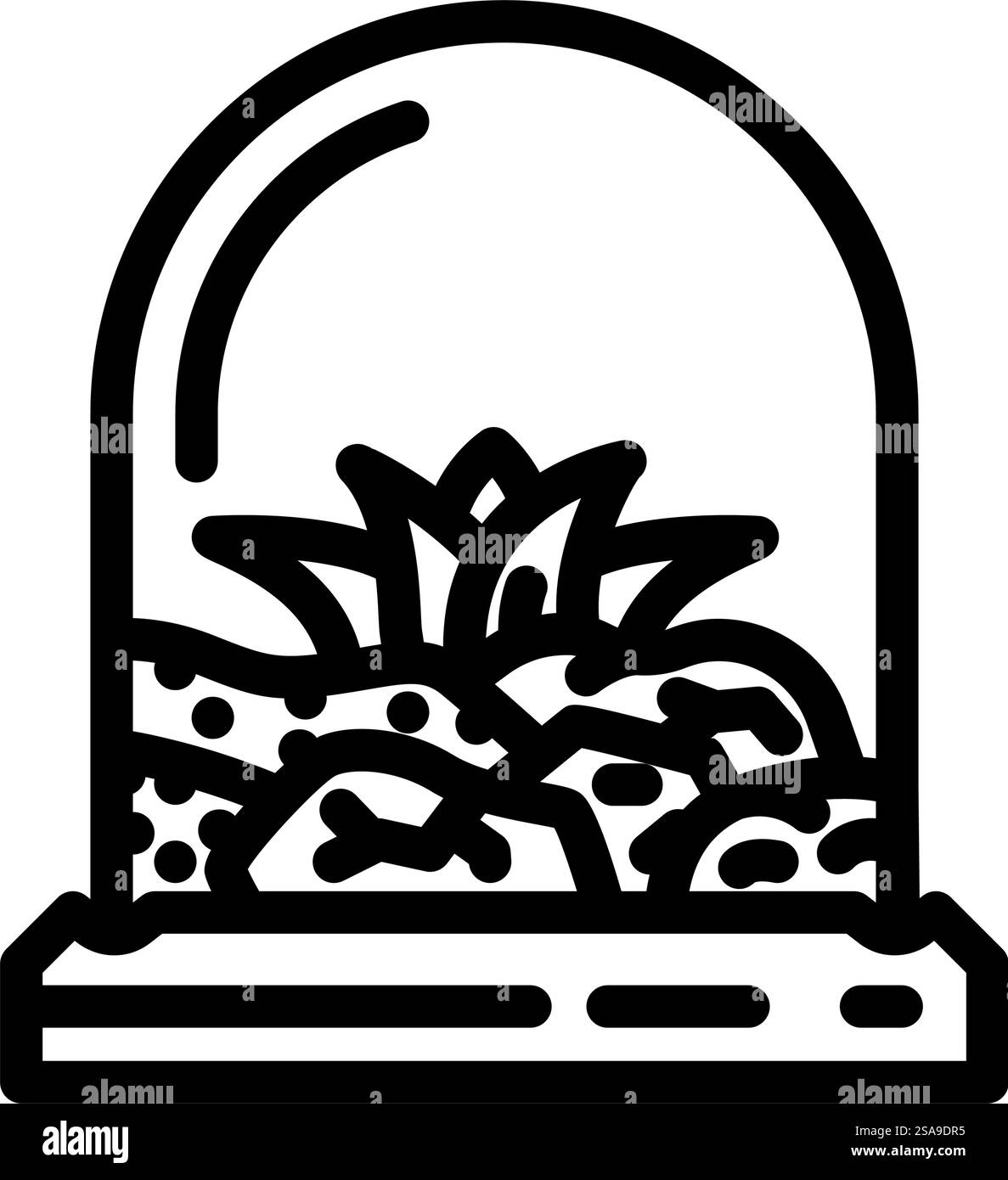 terrarium urban gardening line icon vector. terrarium urban gardening ...