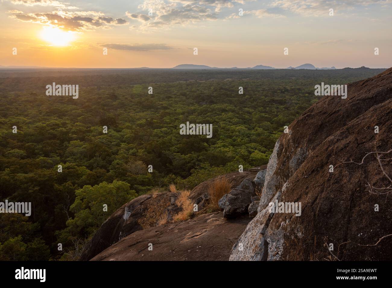 Westwards view over miombo woodland forest from Black Rock in Kasungu ...