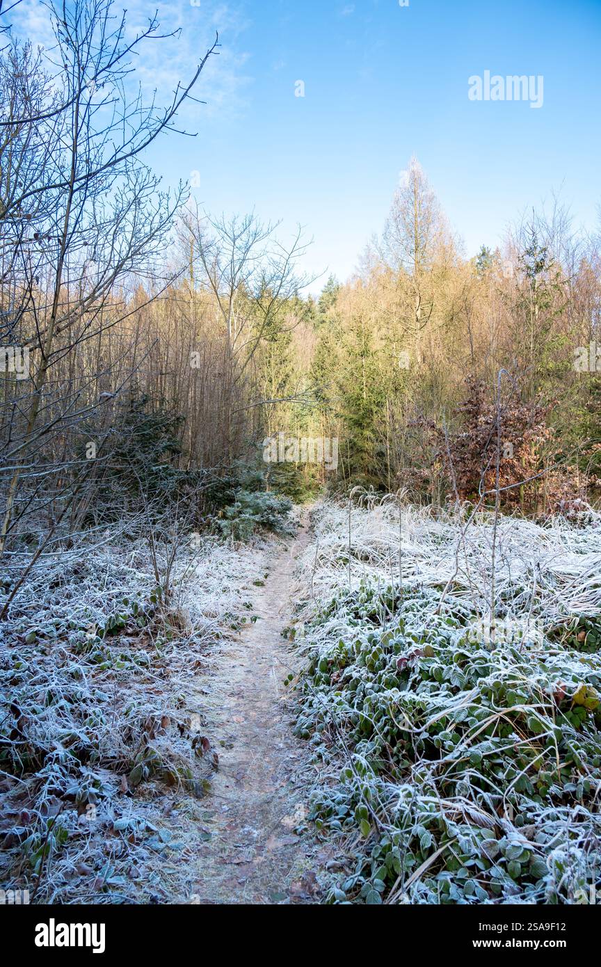 Serene icy landscape hi-res stock photography and images - Alamy