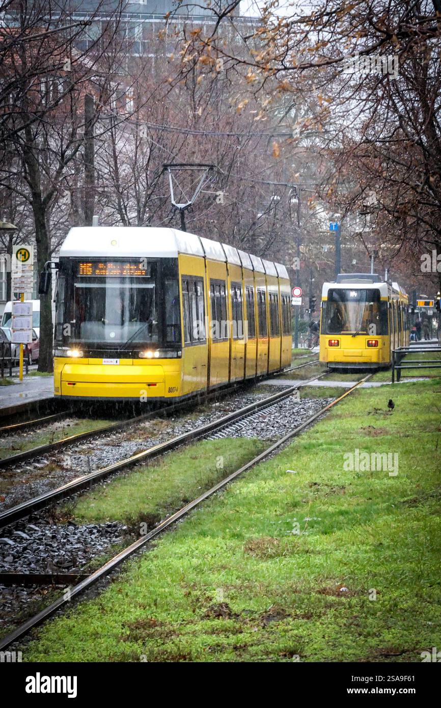 Straßenbahn der Berliner Verkehrsbetriebe BVG im Bereich der Spandauer ...