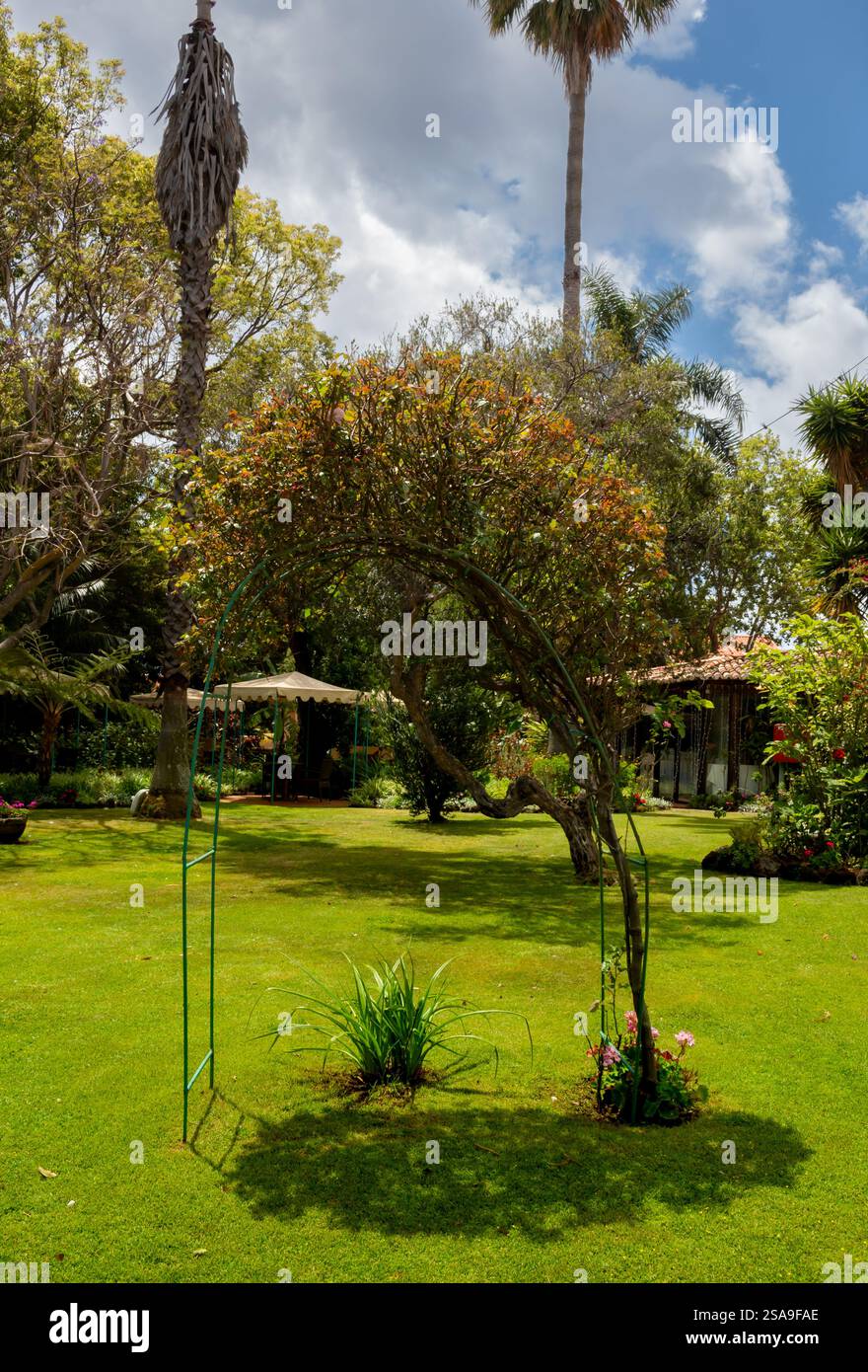 Part of a botanical garden with fresh green grass and various greenery ...