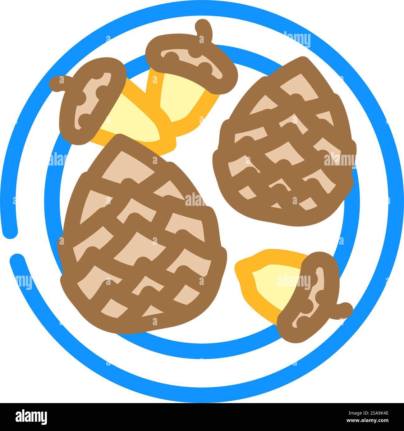 collecting pinecones acorns color icon vector. collecting pinecones ...