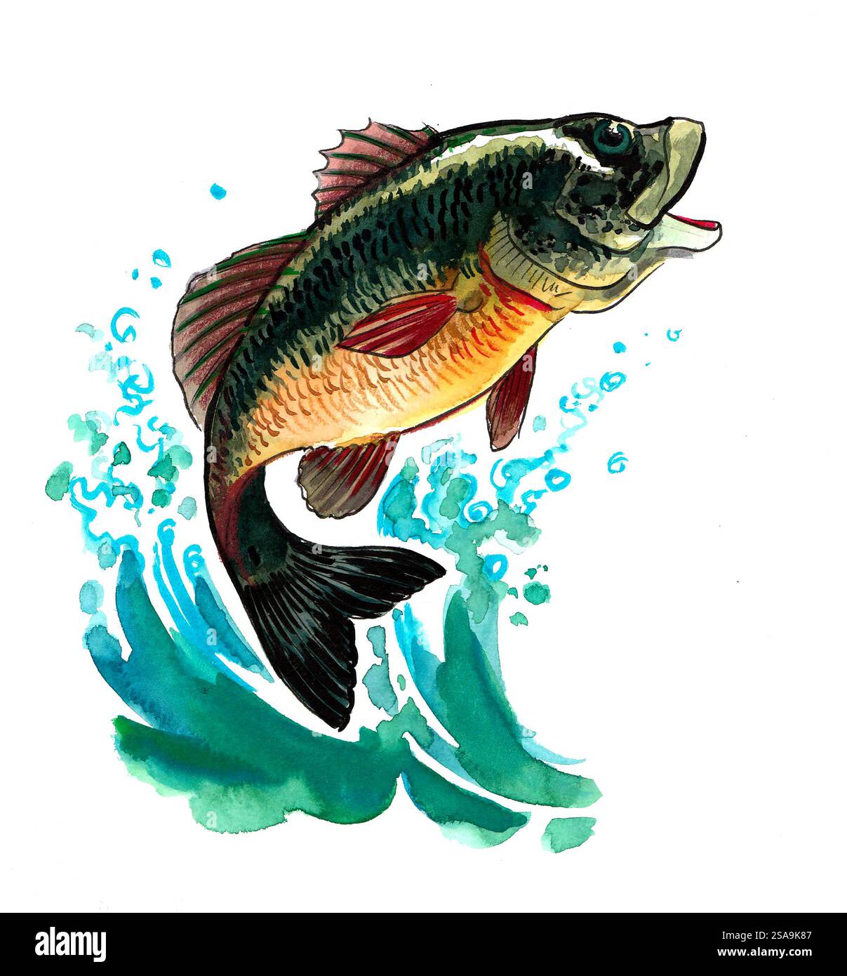 Leaping fish. Hand drawn watercolour illustration Stock Photo - Alamy