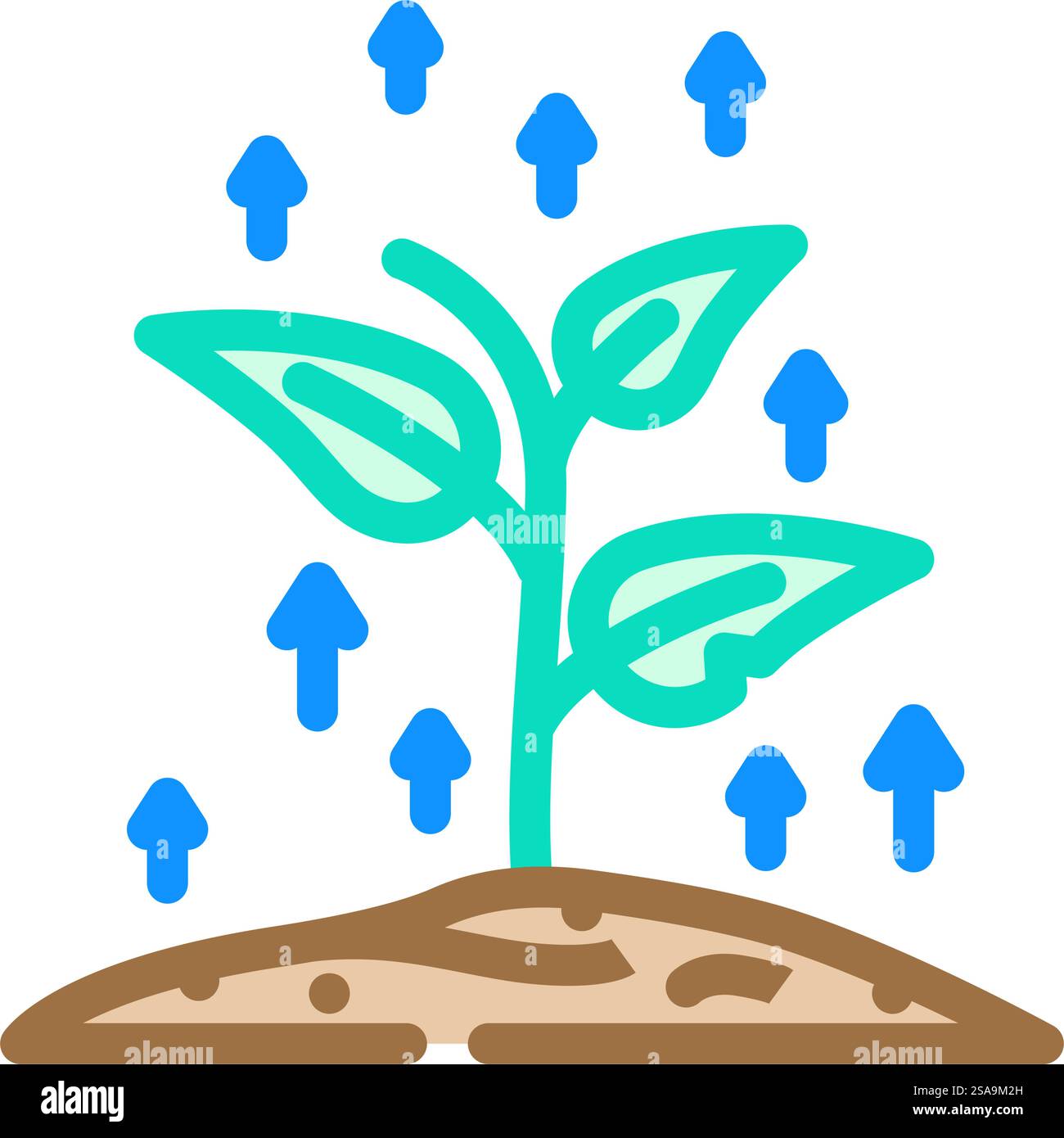 growing plant progress color icon vector. growing plant progress sign ...