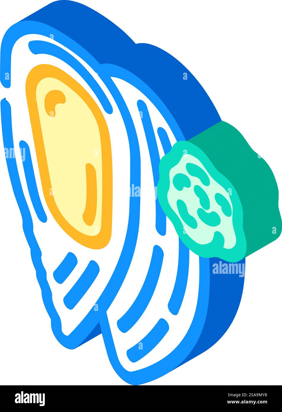 shellfish allergen free product food isometric icon vector. shellfish ...