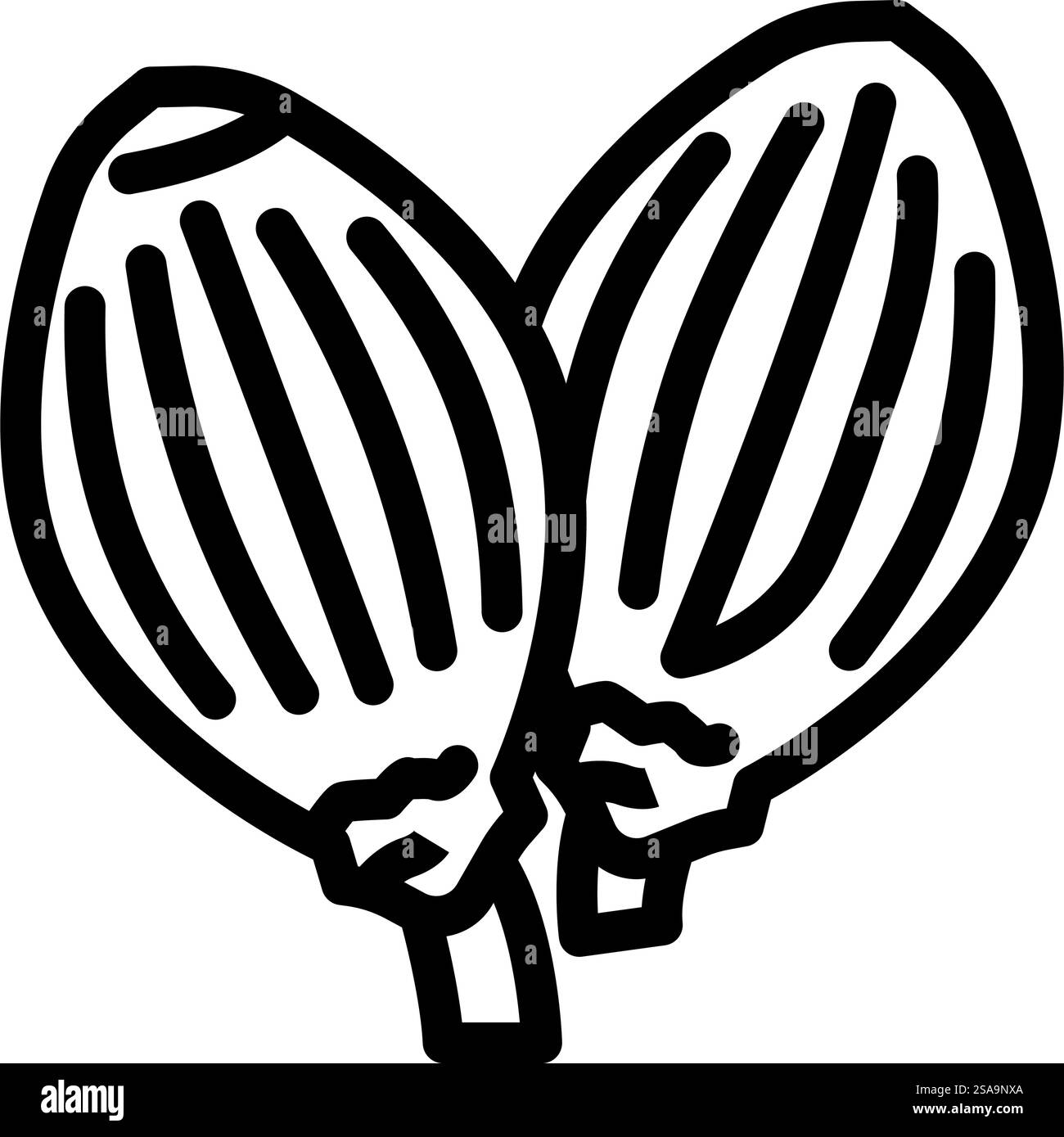 coriander seeds ayurvedic herb line icon vector. coriander seeds ...