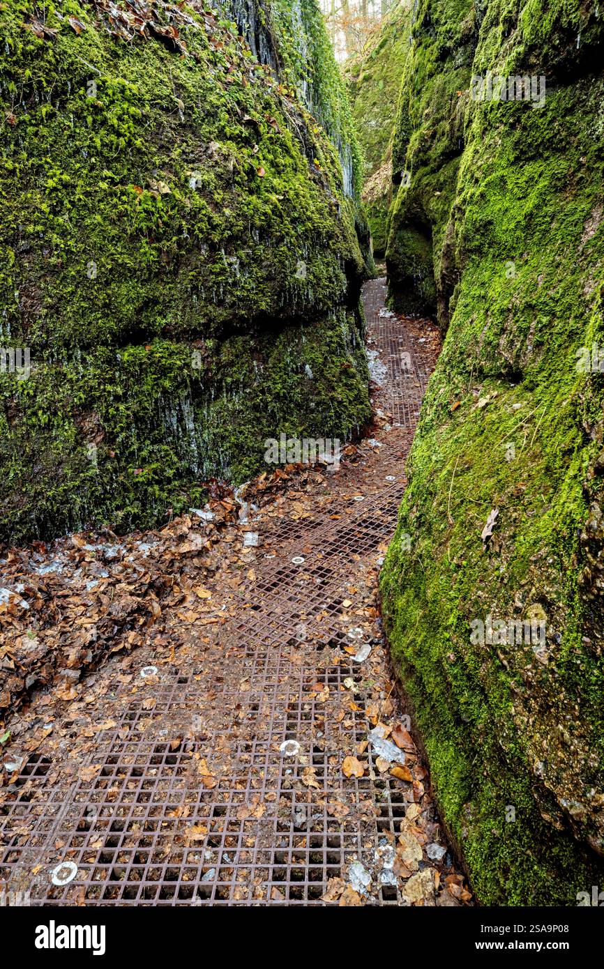 The Dragon Gorge at Eisenach in Thuringia Stock Photo - Alamy