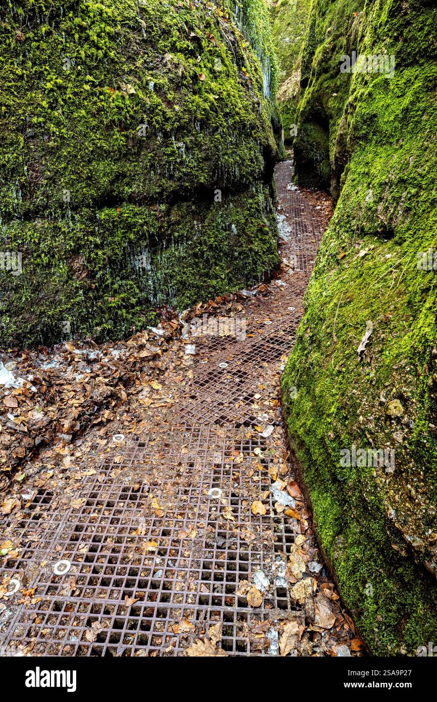 The Dragon Gorge at Eisenach in Thuringia Stock Photo - Alamy