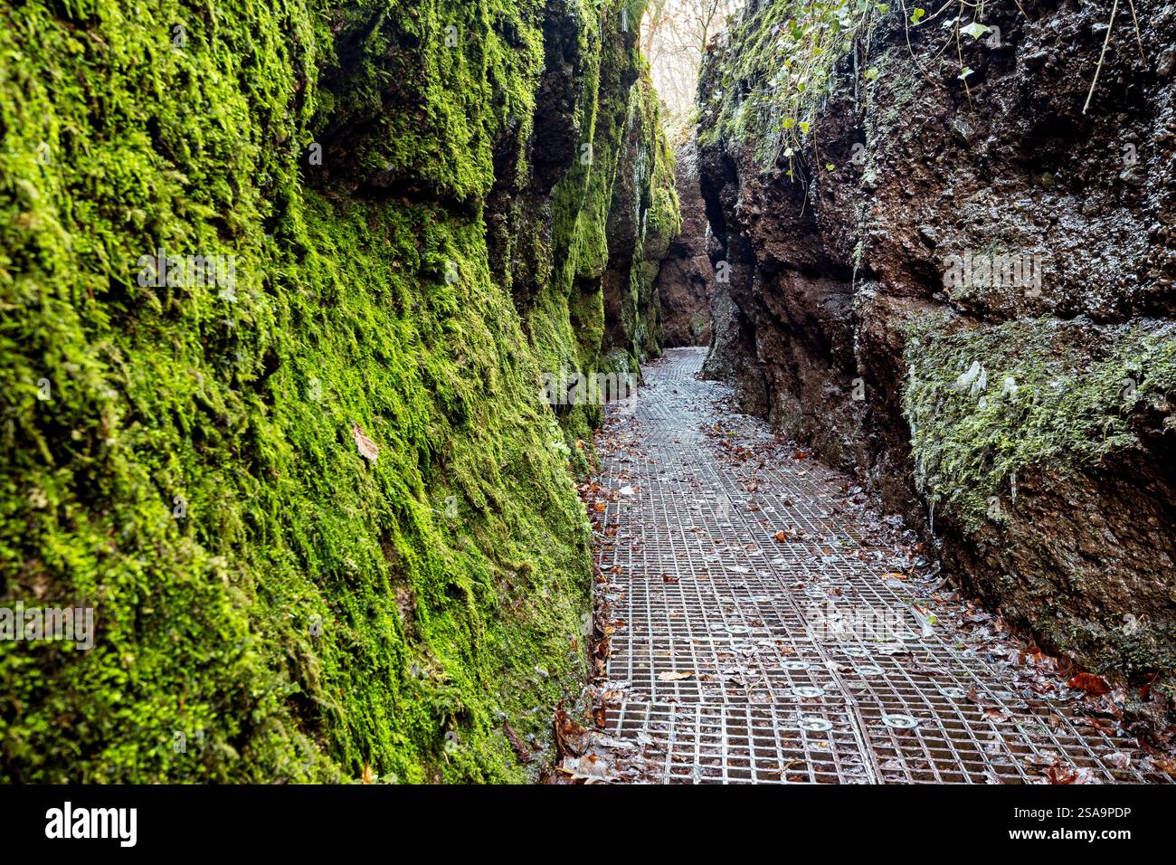 The Dragon Gorge at Eisenach in Thuringia Stock Photo - Alamy