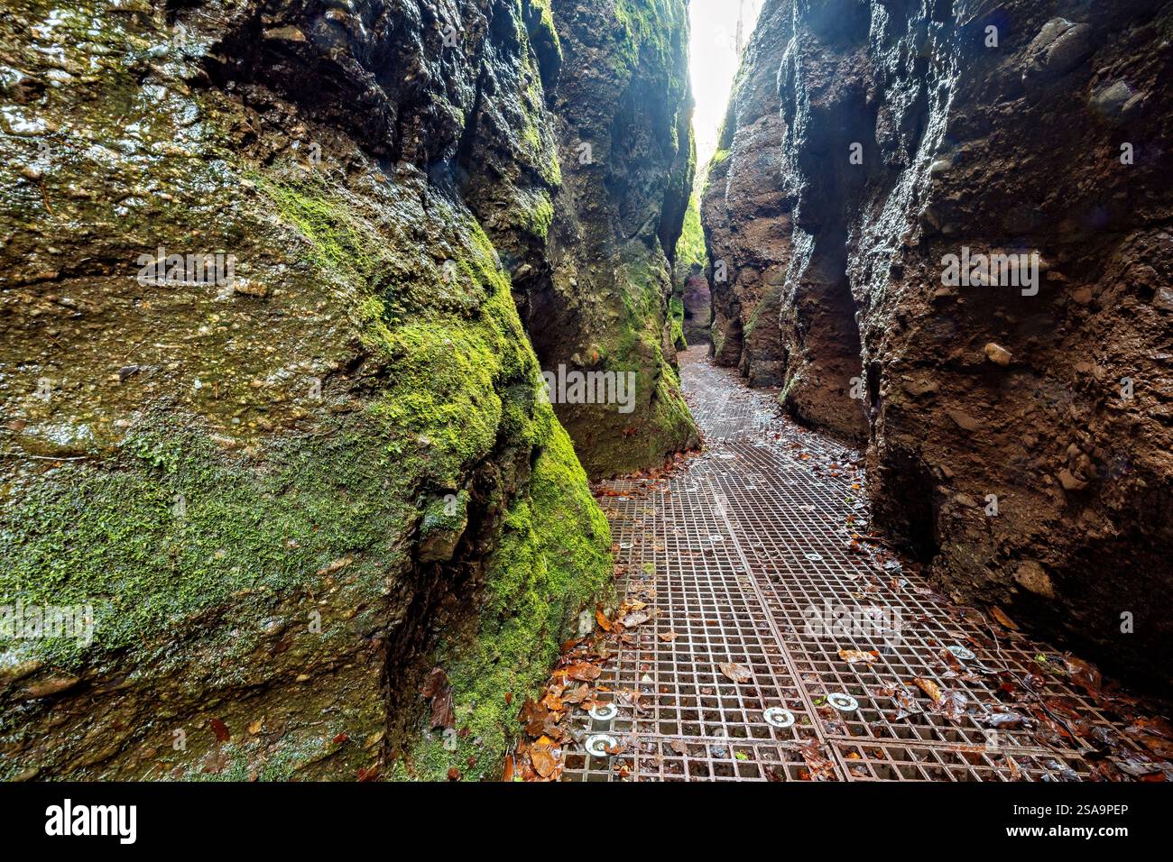 The Dragon Gorge at Eisenach in Thuringia Stock Photo - Alamy