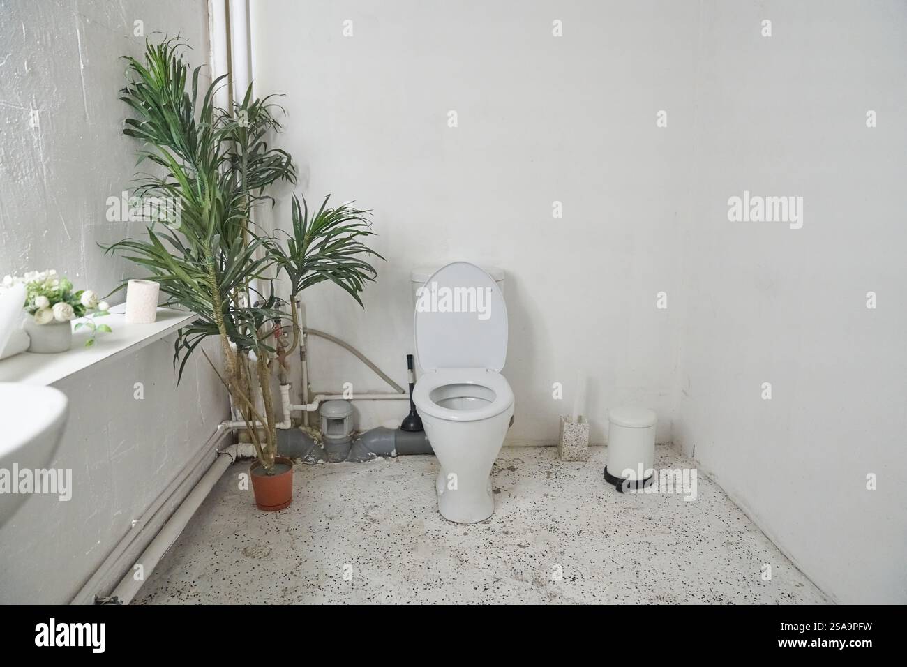 Ceramic toilet bowl in the bathroom. An artificial palm tree is located ...