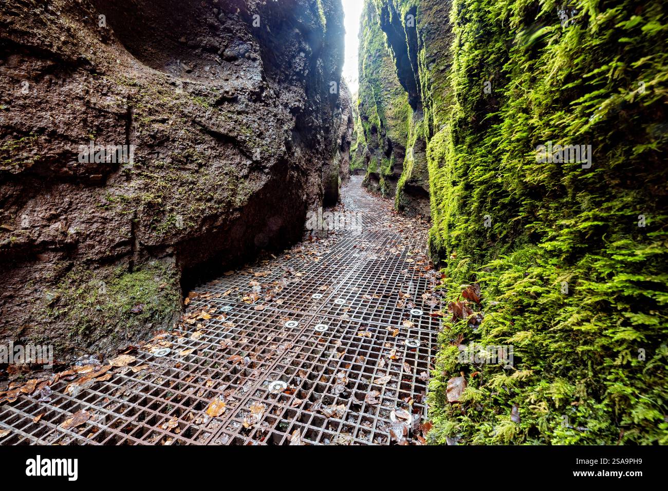 The Dragon Gorge at Eisenach in Thuringia Stock Photo - Alamy