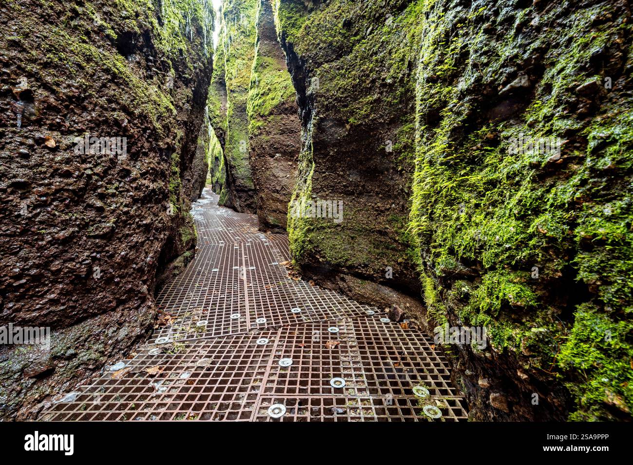 The Dragon Gorge at Eisenach in Thuringia Stock Photo - Alamy