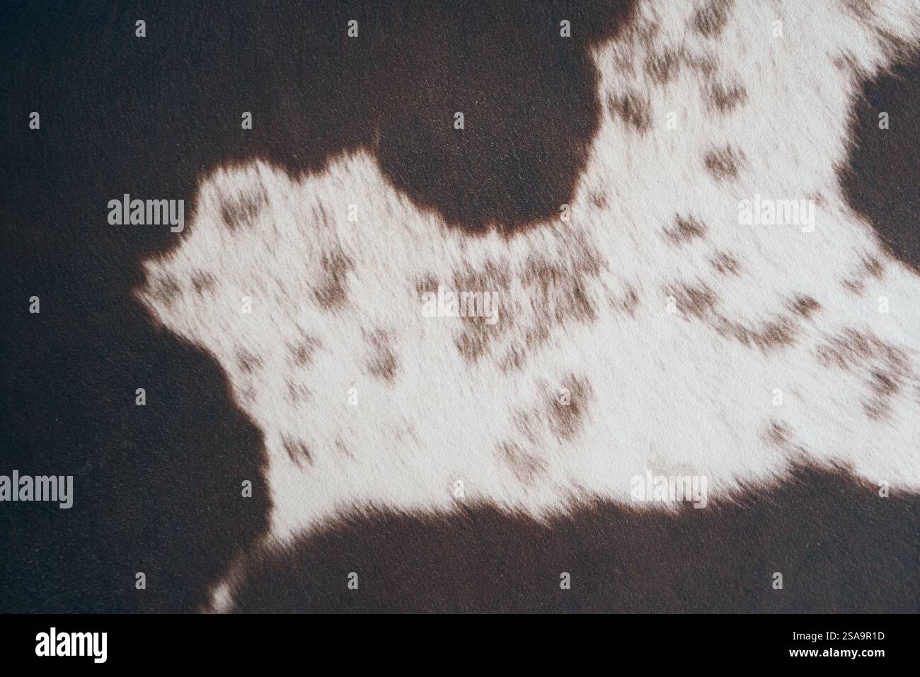 Cowhide leather pattern with a natural print in the form of animal skin ...