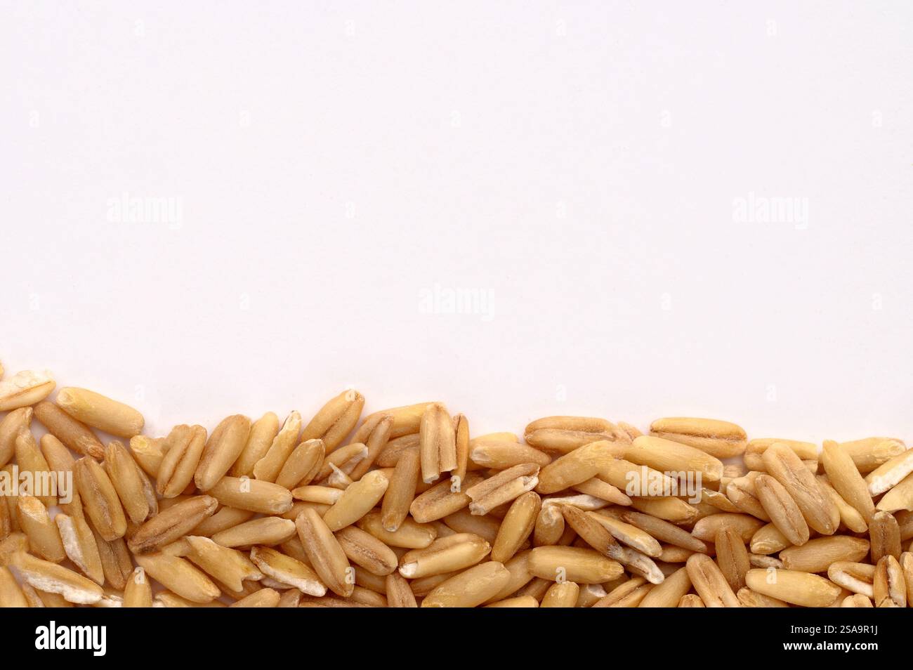 Macro photo of dry uncrushed oatmeal,texture,background on a white ...