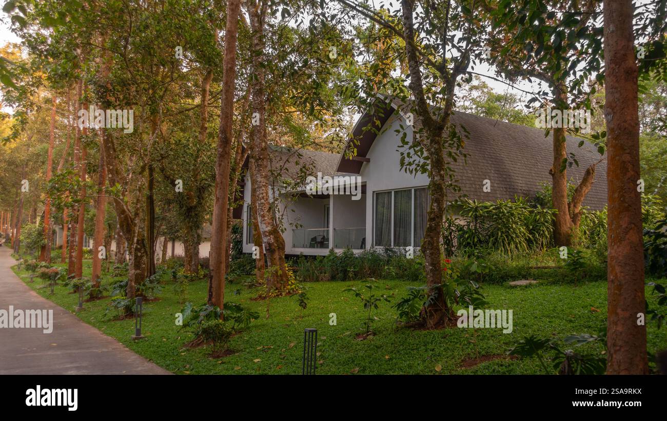 Coorg, India - 28th December, 2023 : Modern cottages amongst tall trees ...