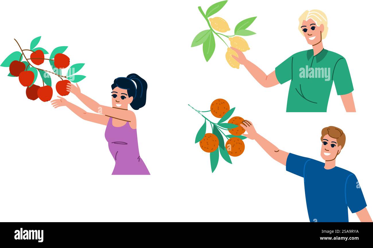 farm fruit picking vector. tree pick, garden field, hand orchard farm fruit picking character ...