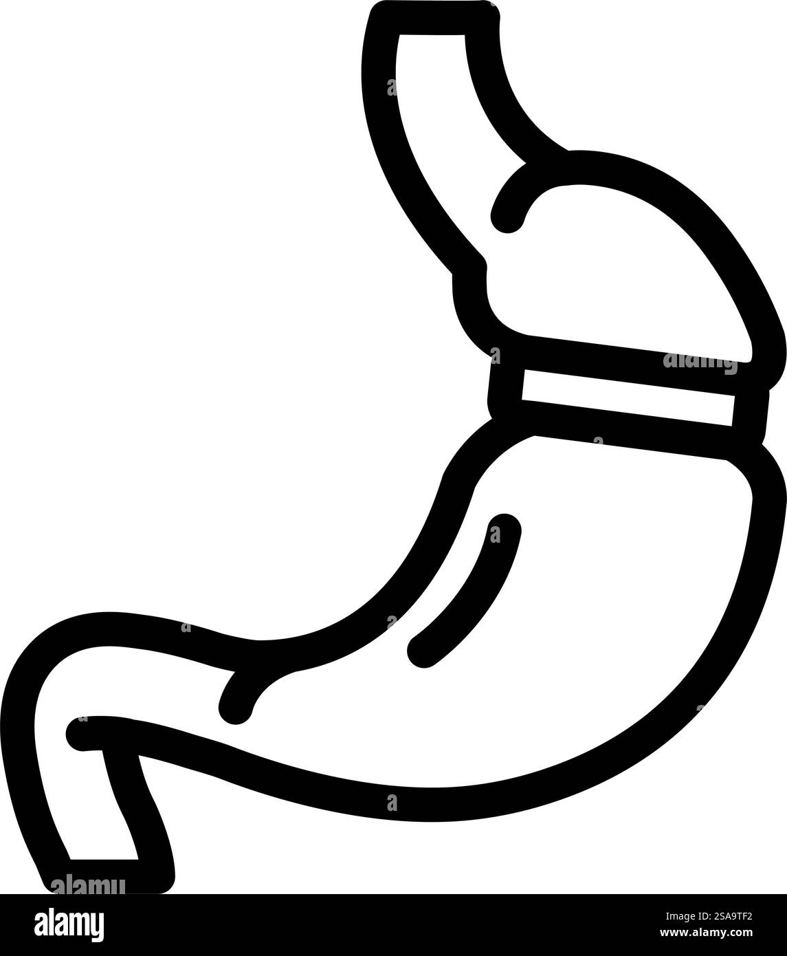 bariatric surgery obesity overweight line icon vector. bariatric ...