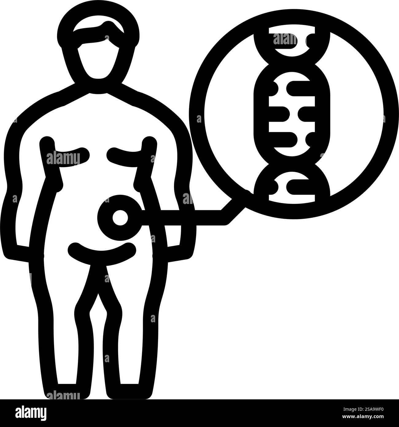 genetic predisposition obesity overweight line icon vector. genetic ...