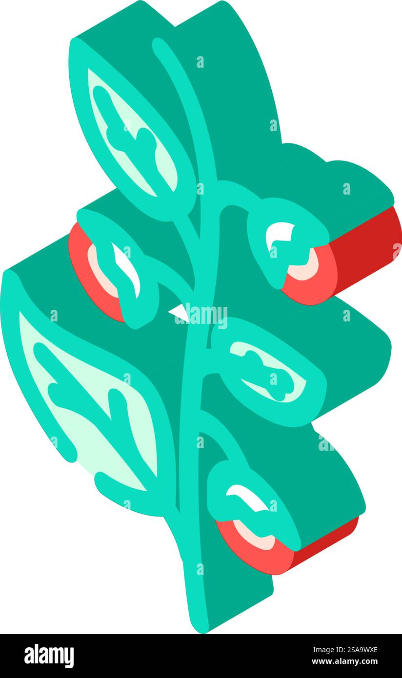 ashwagandha ayurvedic herb isometric icon vector. ashwagandha ayurvedic ...