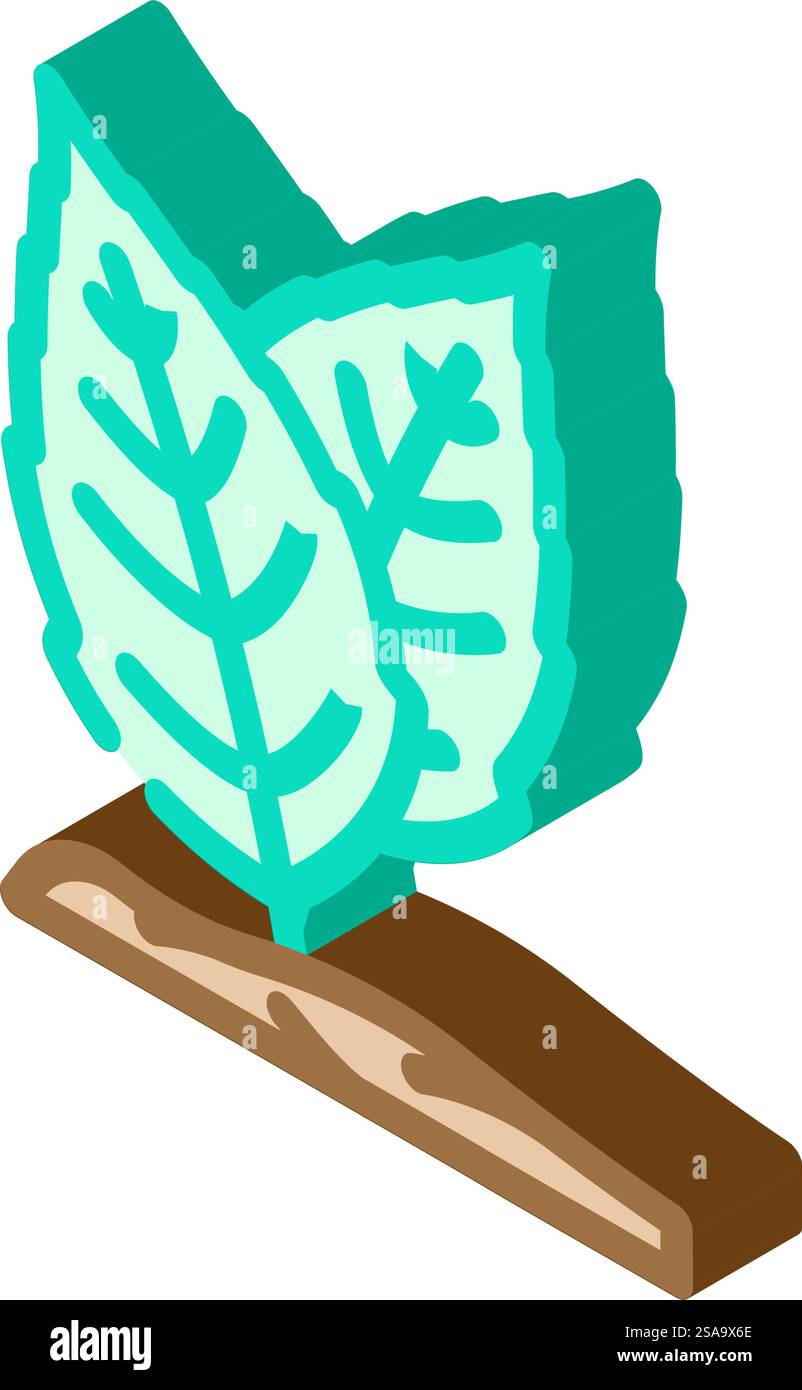 holy basil ayurvedic herb isometric icon vector. holy basil ayurvedic ...