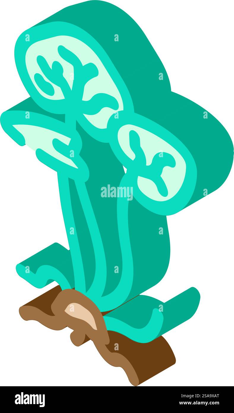 gotu kola ayurvedic herb isometric icon vector. gotu kola ayurvedic ...
